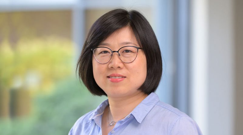 Prof. Dr. Yang Li – RESIST